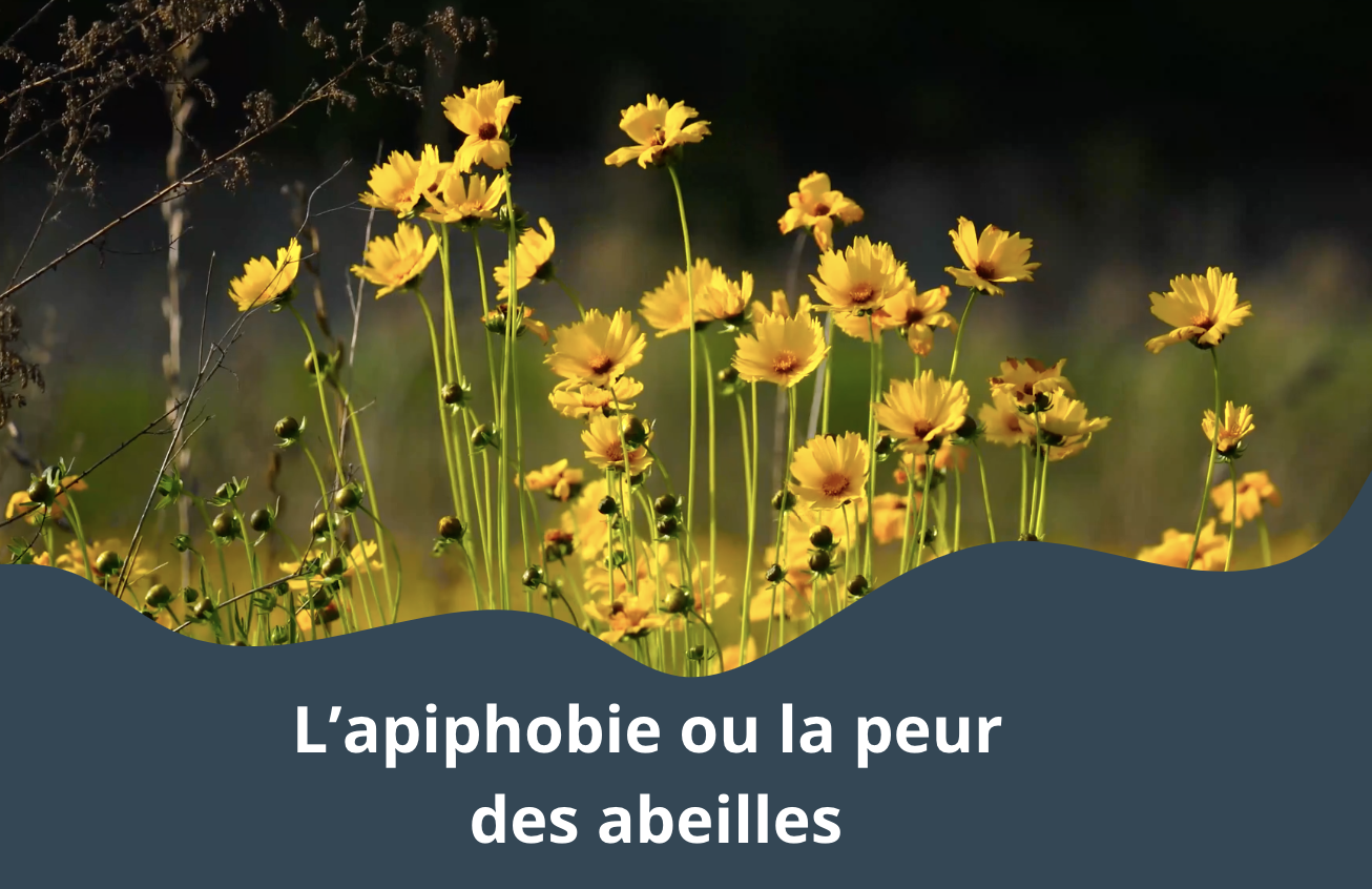 L'apiphobie ou la peur des abeilles