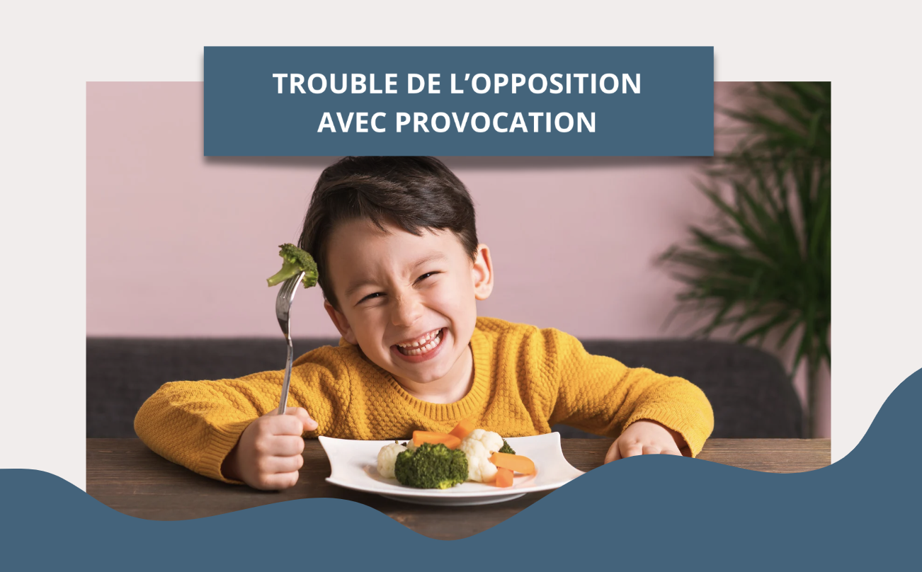 Trouble de l'opposition avec provocation TOP